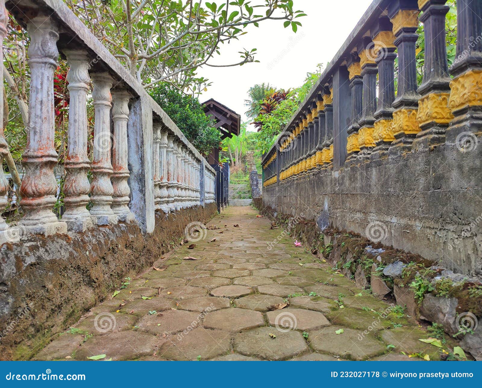 A Small Road in a Rural Area Stock Photo - Image of road, small: 232027178