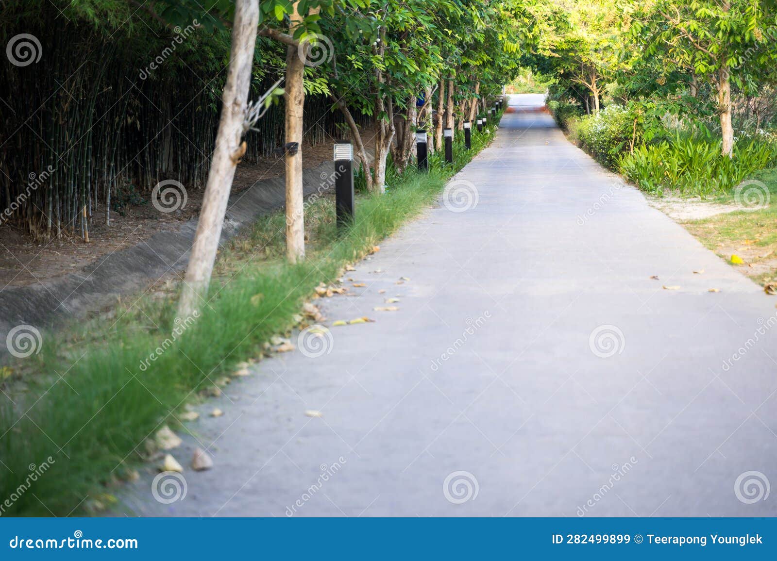 Small Road Spring Nature Roadside Trees and Lanterns Empty View of the ...