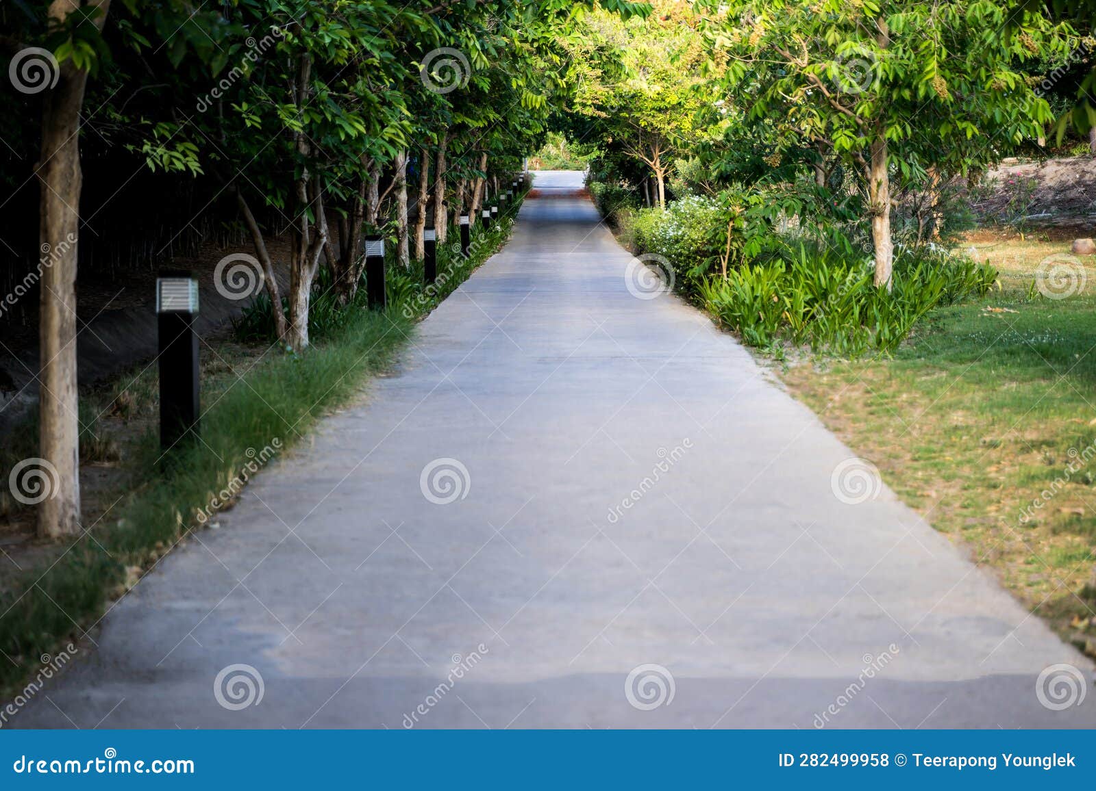Small Road Spring Nature Roadside Trees and Lanterns Empty View of the ...