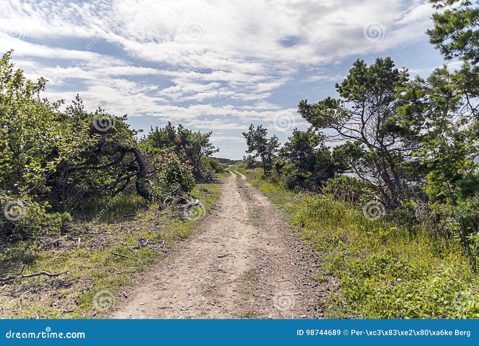 Small road stock image. Image of summer, tranquil, colorful - 98744689