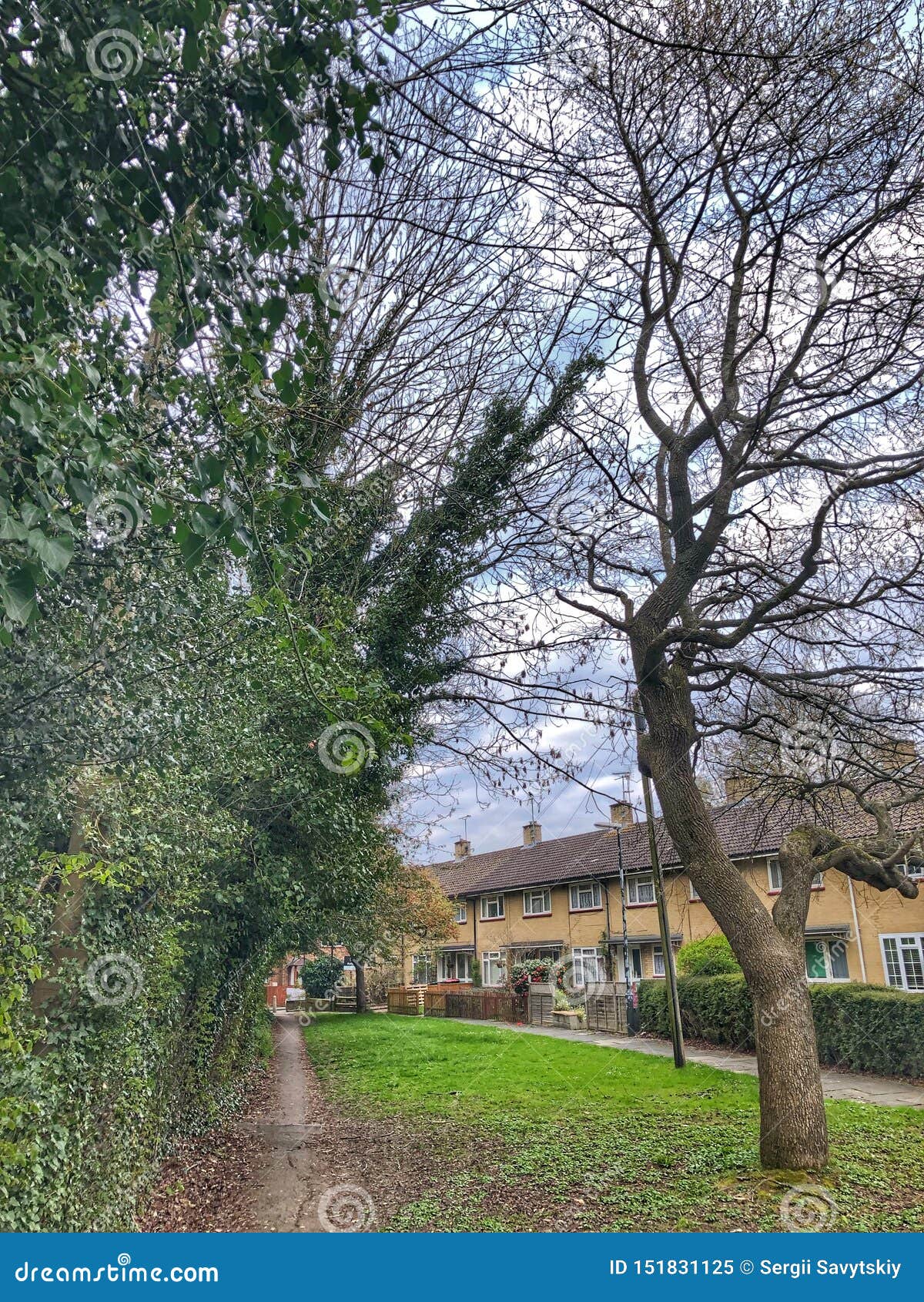 Tiny pathway stock image. Image of fall, leaf, scenic - 151831125