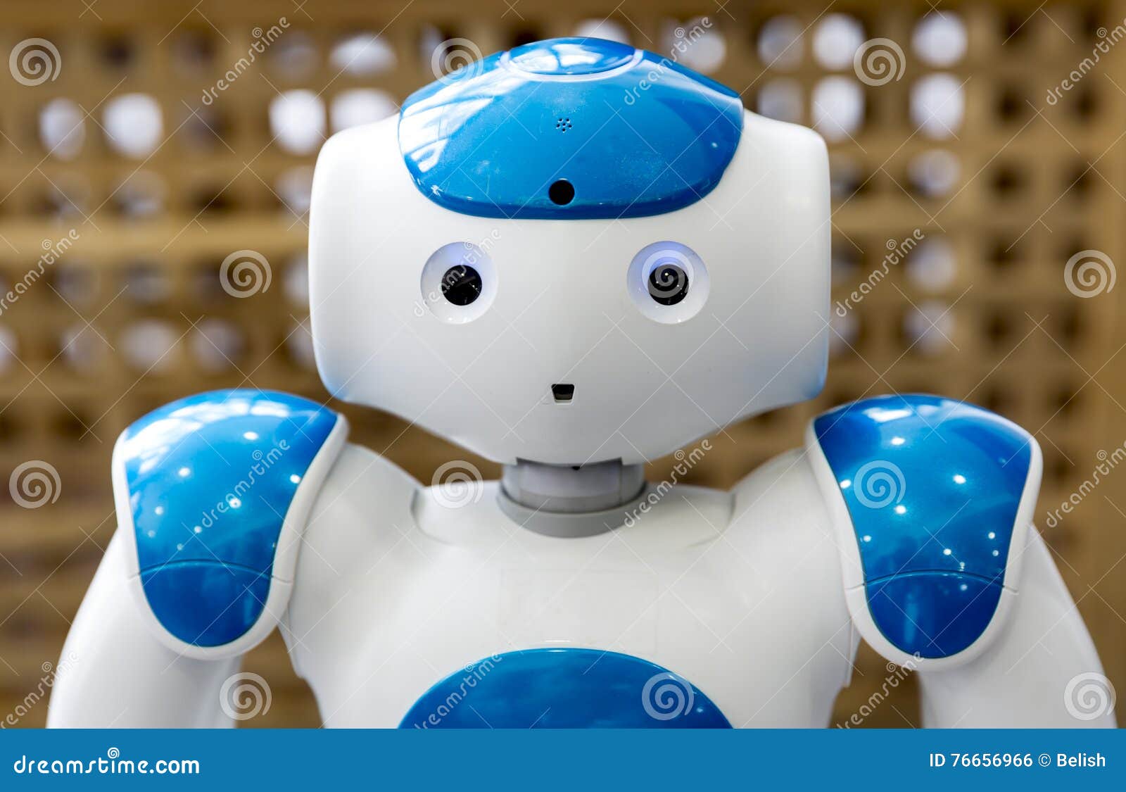 A Small Robot With A Human Face And A Humanoid Body. Artificial ...