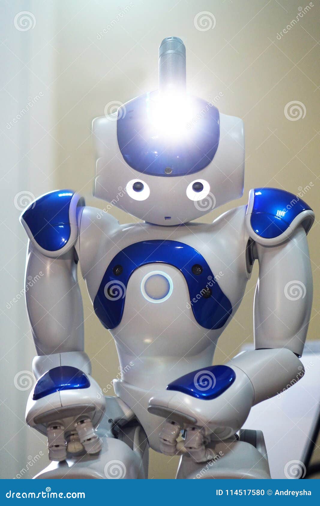 A Small Robot with a Human Face and a Humanoid Body. Artificial ...