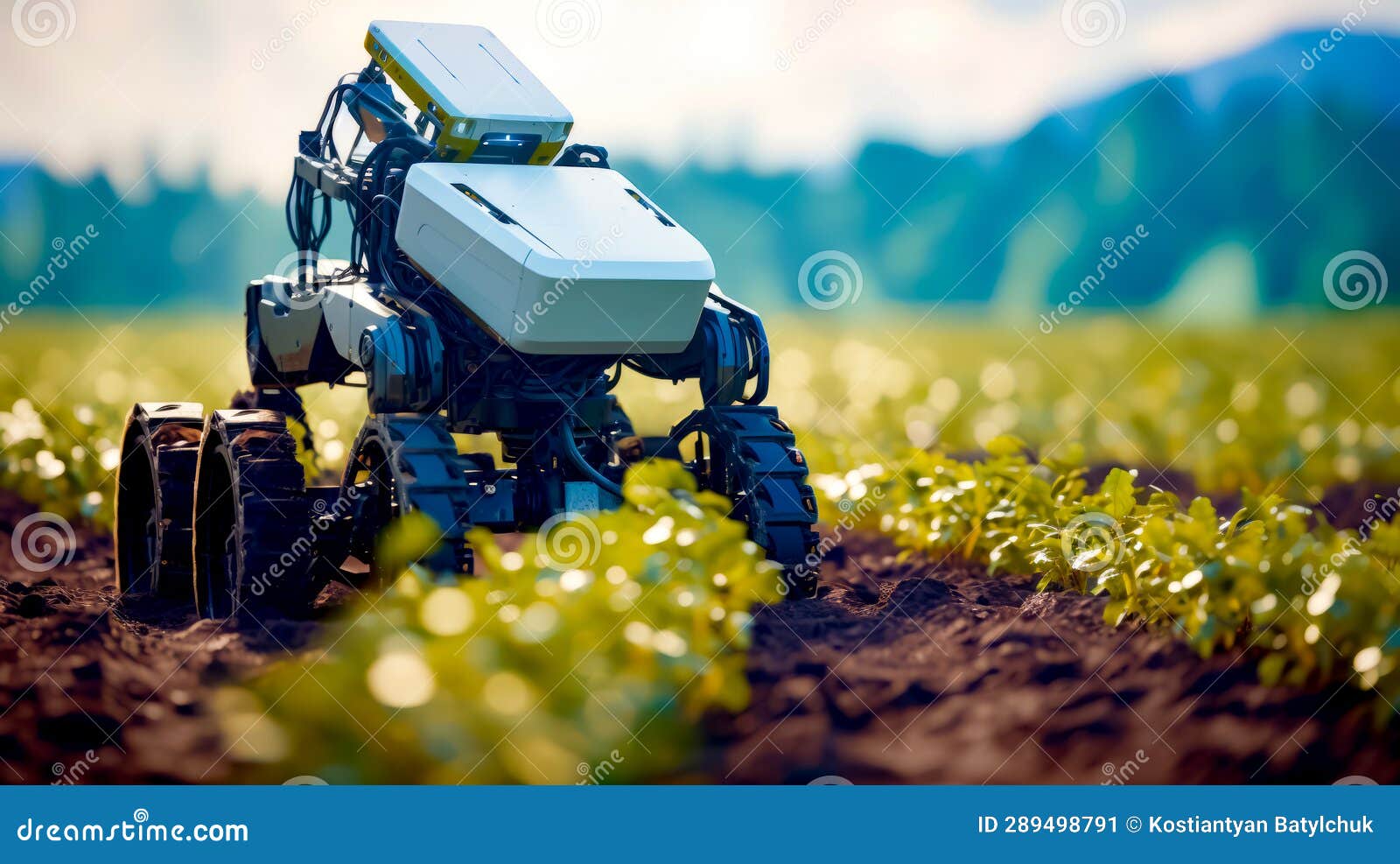 Small Robot in the Middle of Field with Camera Attached To it ...