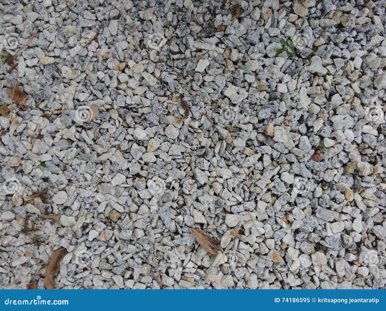 Small rock stock image. Image of garden, rock, small - 74186595