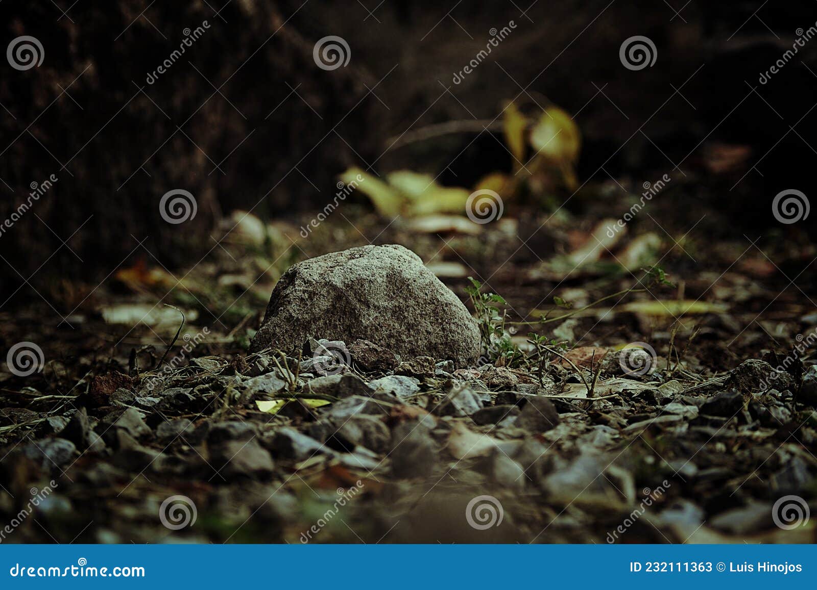 A Small Rock Macro Photography, View from Other Perspective Stock Image ...