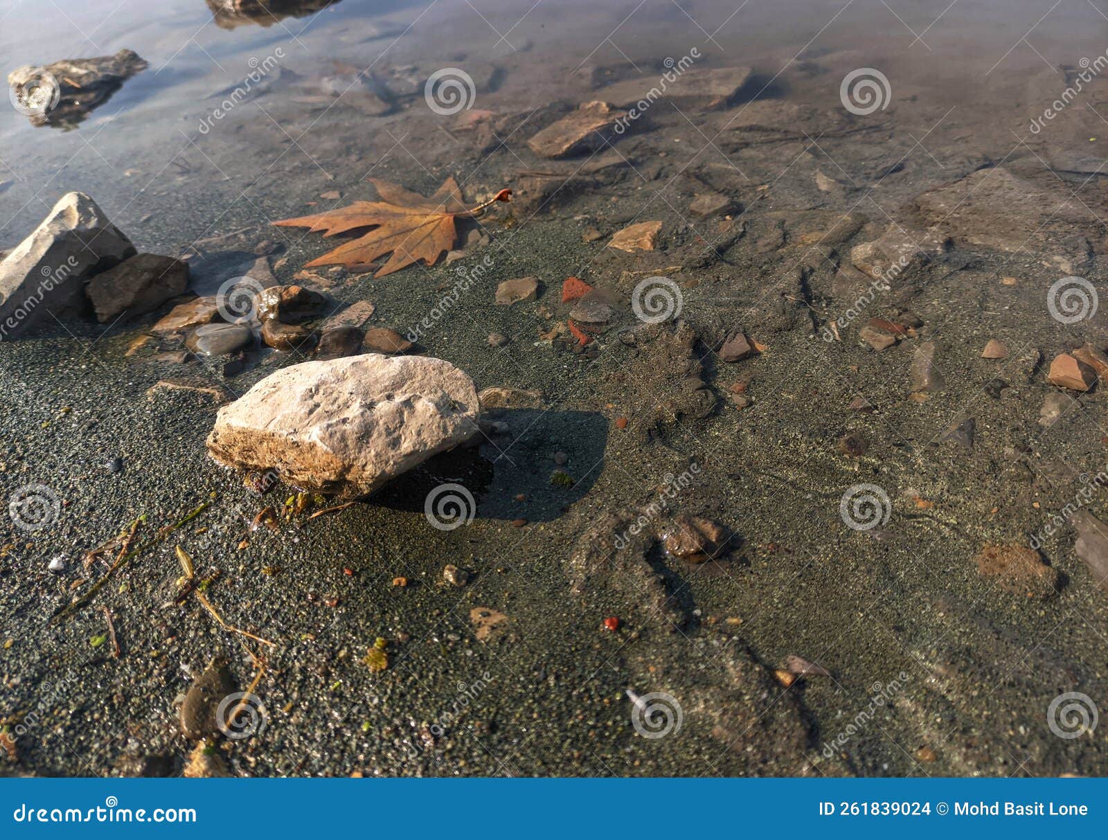Small Rock O the Shore of a River Stock Photo - Image of pebble, sand ...