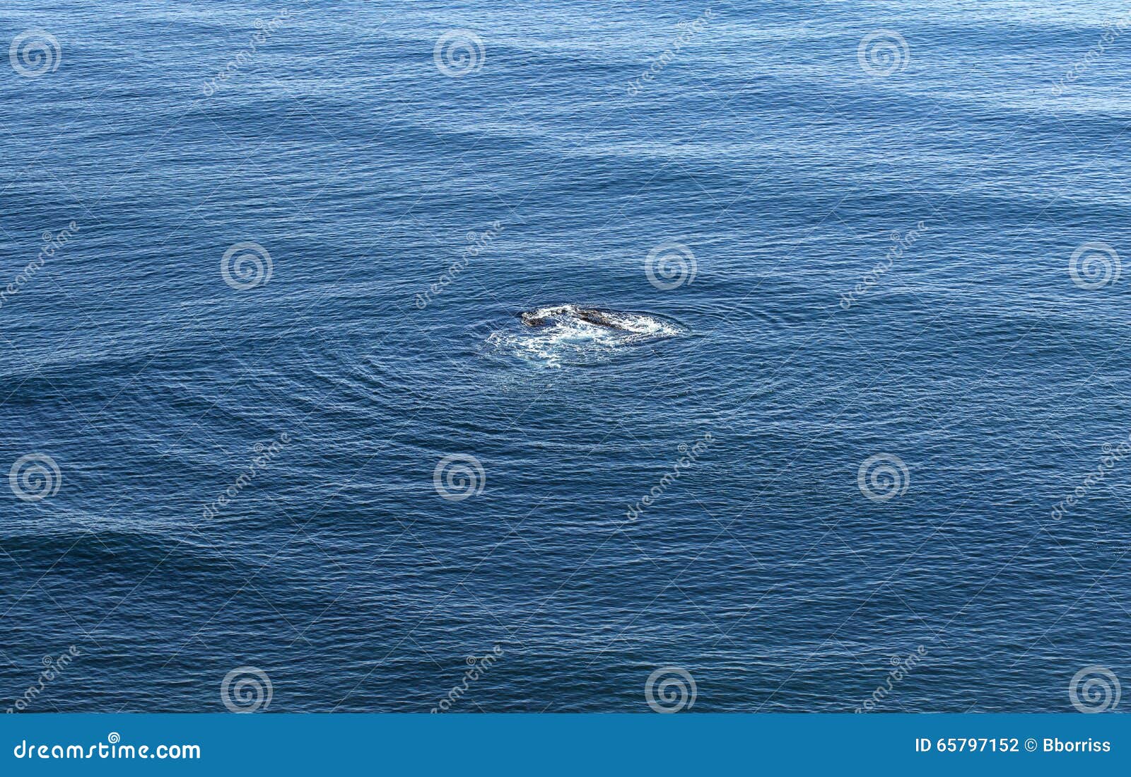 The Small Rock in the Ocean Stock Photo - Image of discovery, beach ...