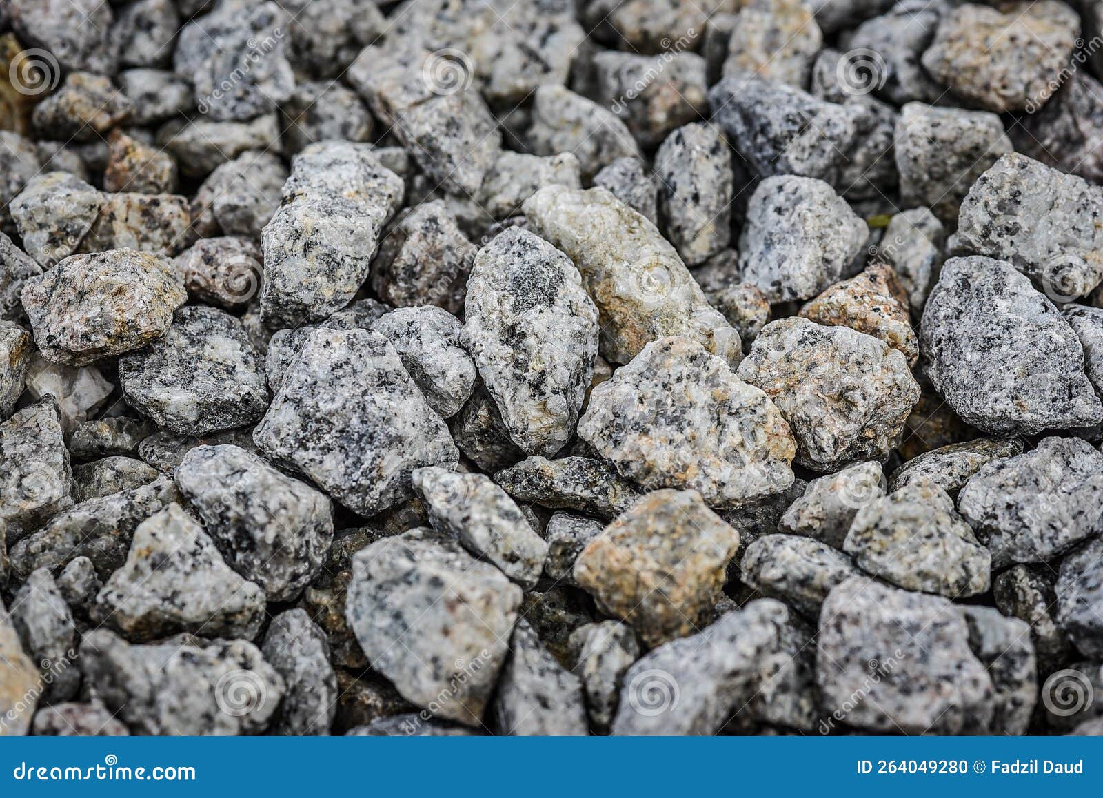 SMALL ROCK STONE PEBBLES TEXTURE in the PARK Stock Photo - Image of ...