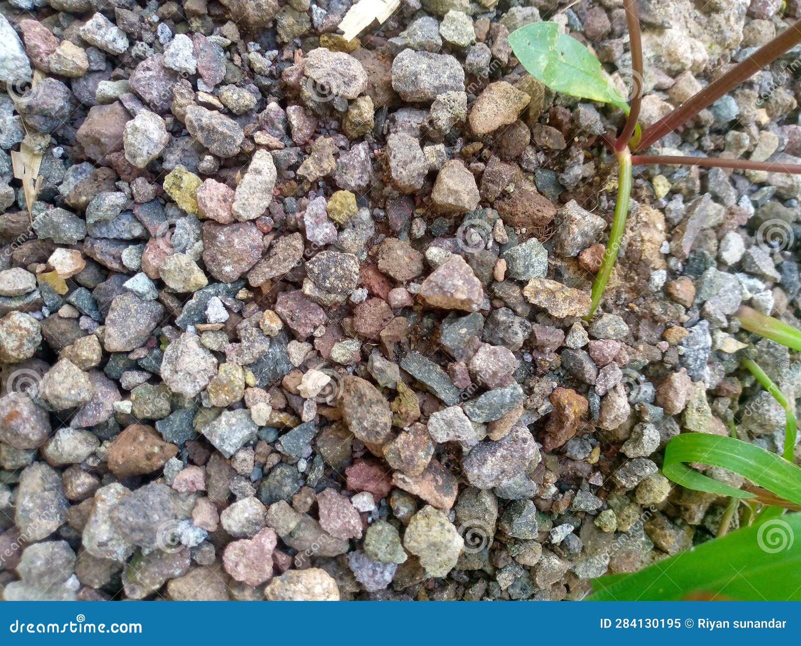 Small Rocks that Caught My Attention and Beautiful Stock Image - Image ...