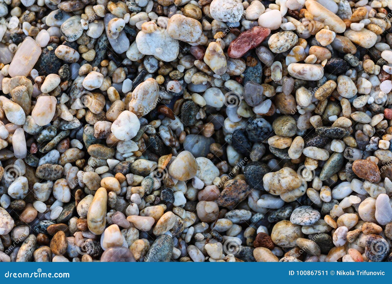 Small Rocks on a Rocky Beach Stock Image - Image of backdrop, shore ...