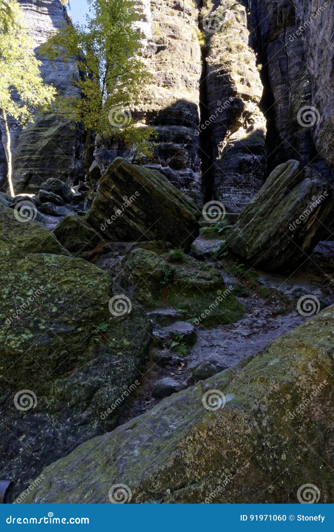 Small Rocks with the Tall Rocks Stock Photo - Image of oregon, life ...