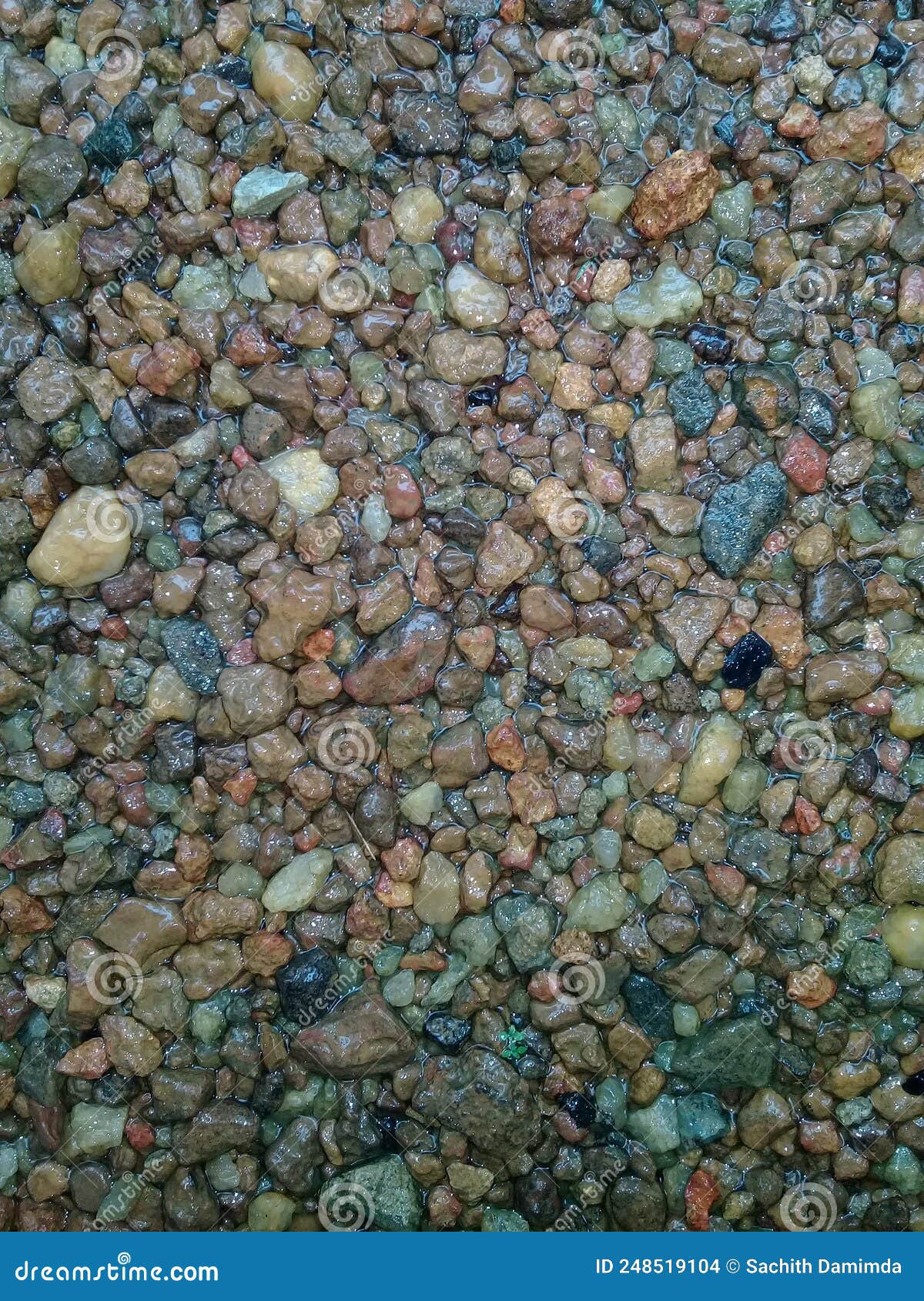 Small rocks in the earth stock photo. Image of rocks - 248519104