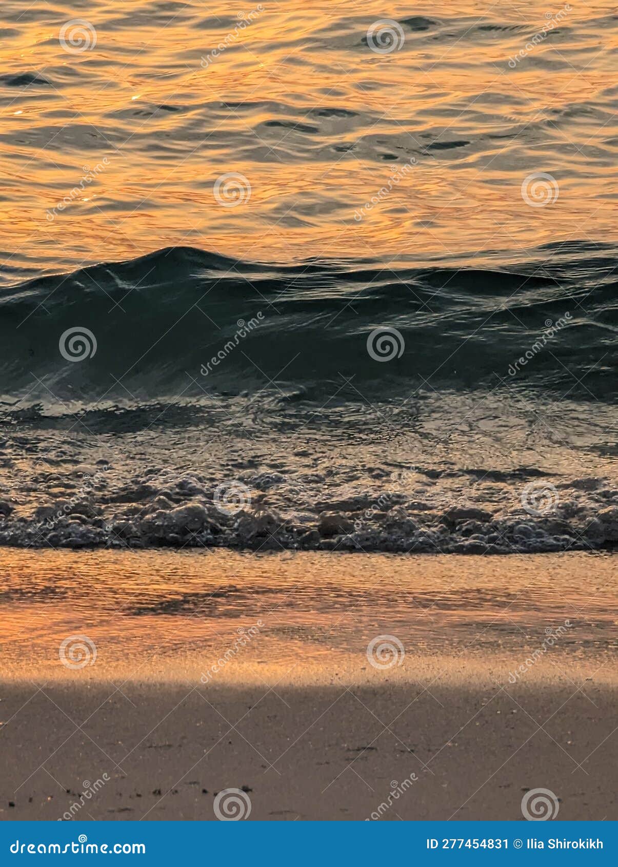 A Small Rolling Wave in the Sunset Rays of the Sun. Stock Image - Image ...