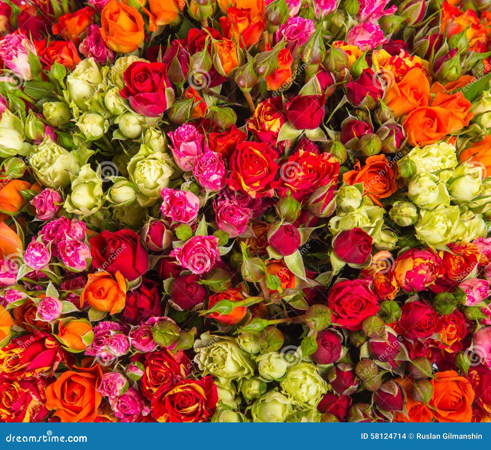 Small Roses Bouquet Close Up Stock Photo - Image of holiday, fragrant ...
