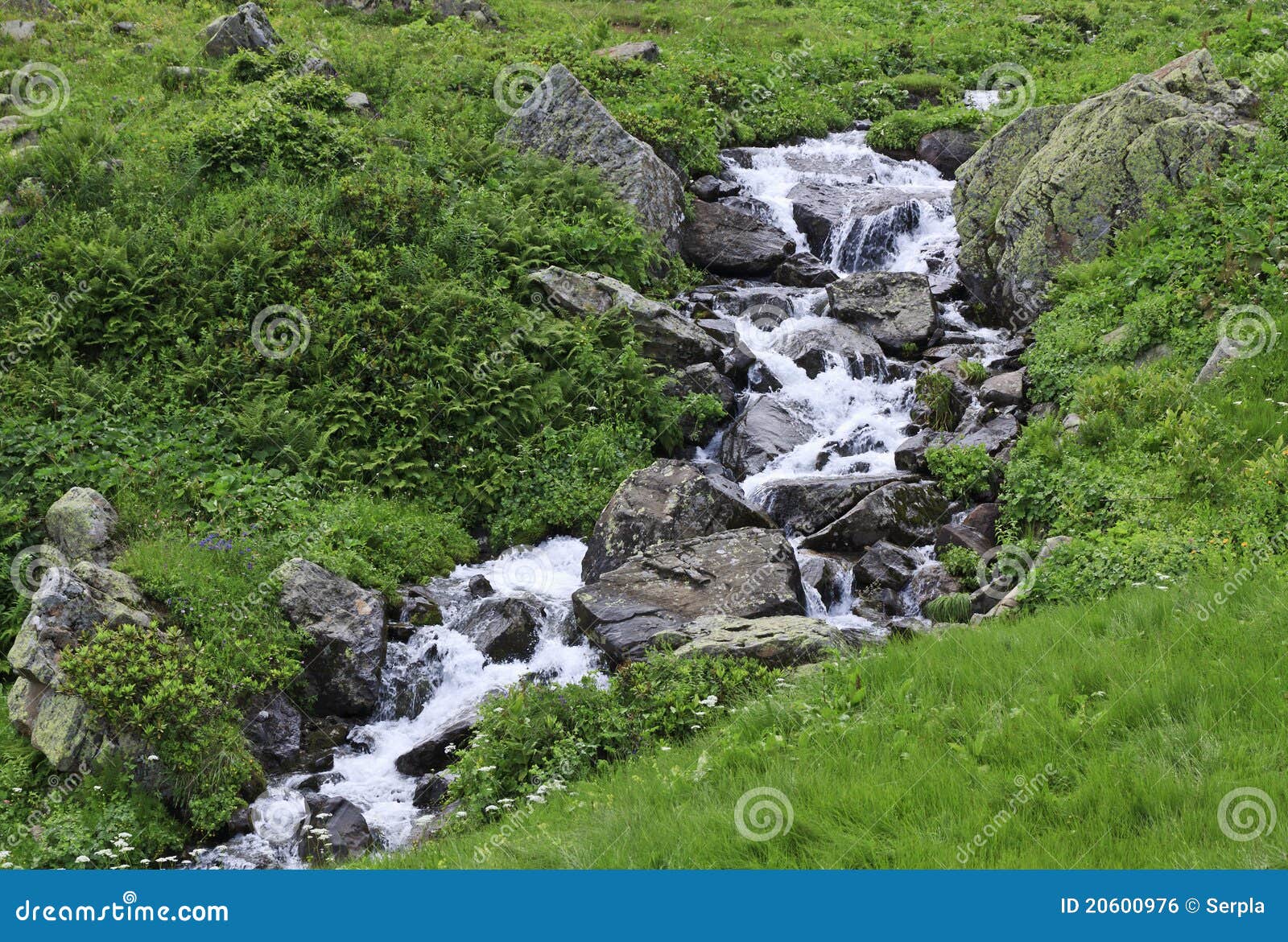 Small rough stream stock photo. Image of hill, highlands - 20600976