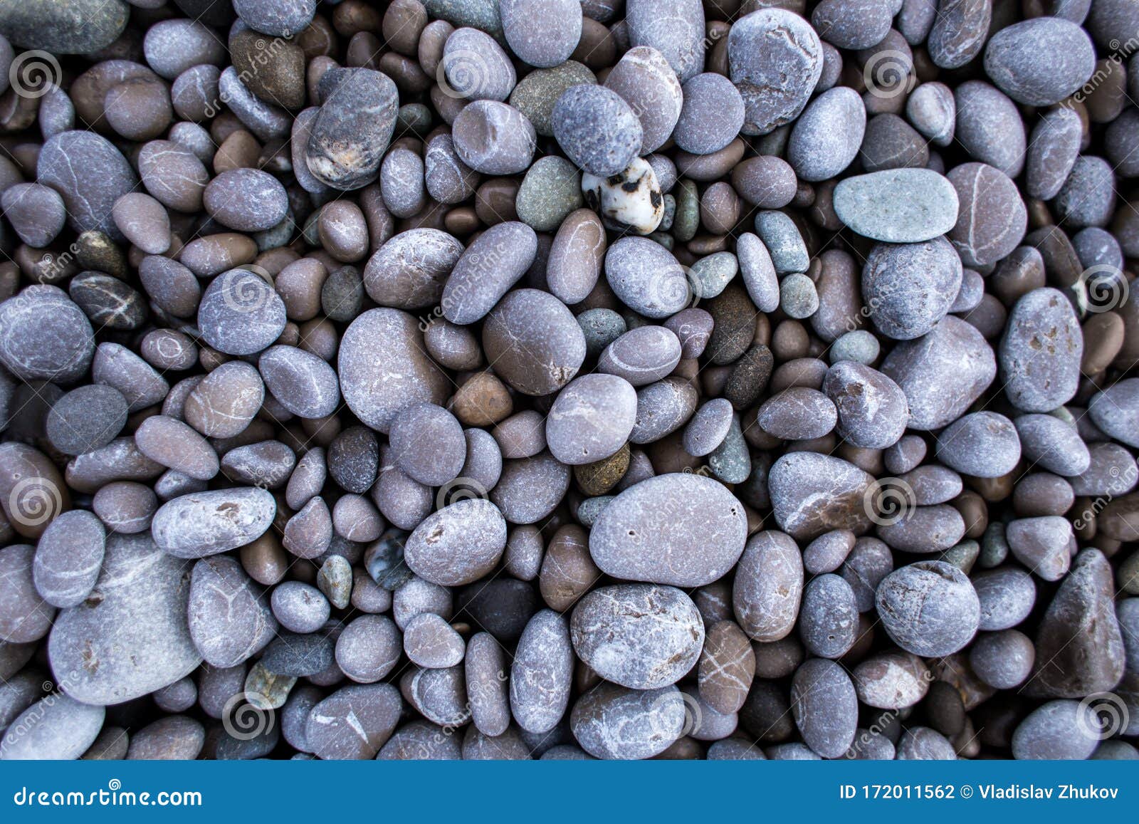 Small Round Pebbles on the Seashore Stock Photo - Image of material ...