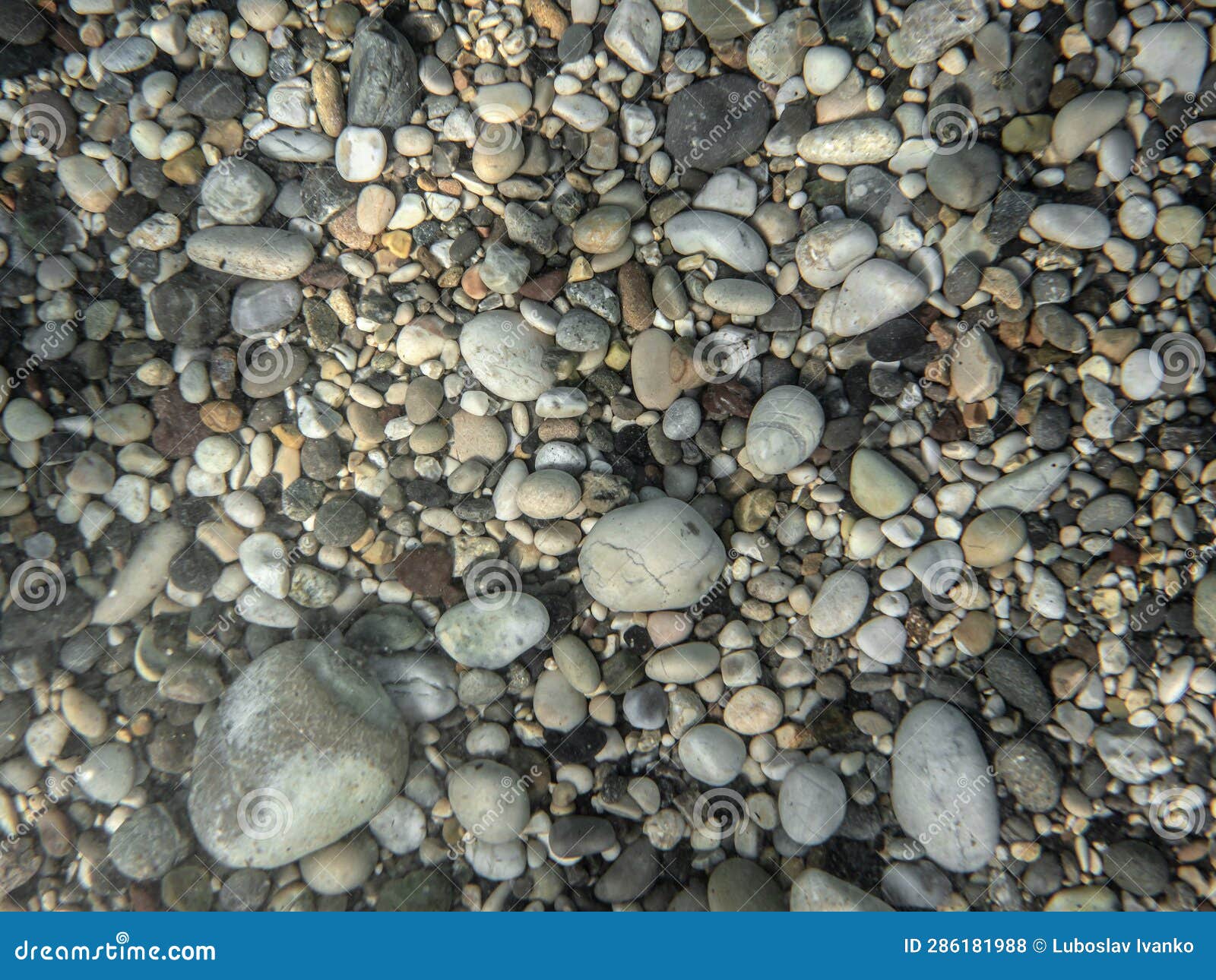 Small Round Rocks or Pebbles Few Covered with Algae, Closeup Underwater ...