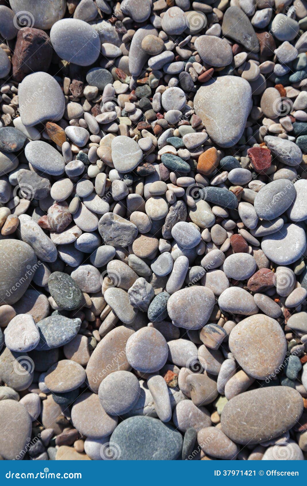 Small round stones stock image. Image of heap, gravel - 37971421