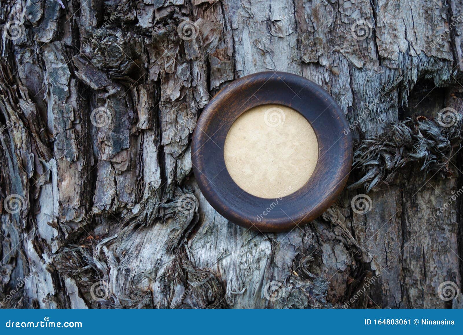 Small Round Wooden Frame on a Background of Tree Bark. Stock Image ...