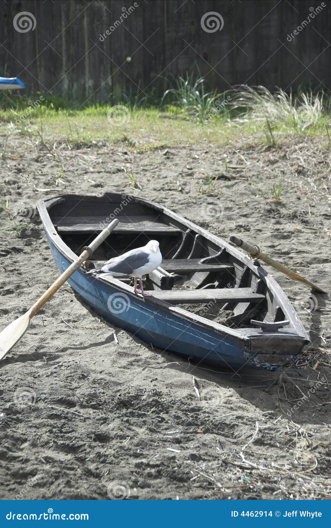 Small Row Boat Picture. Image: 4462914