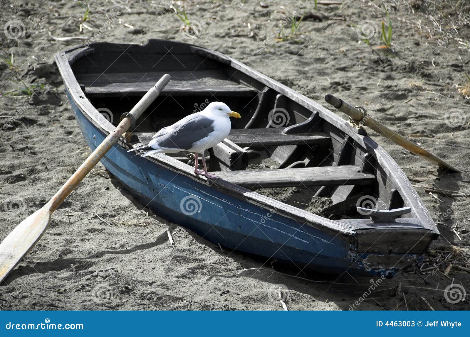 Small row boat stock image. Image of dock, cruise, fishing - 4463003