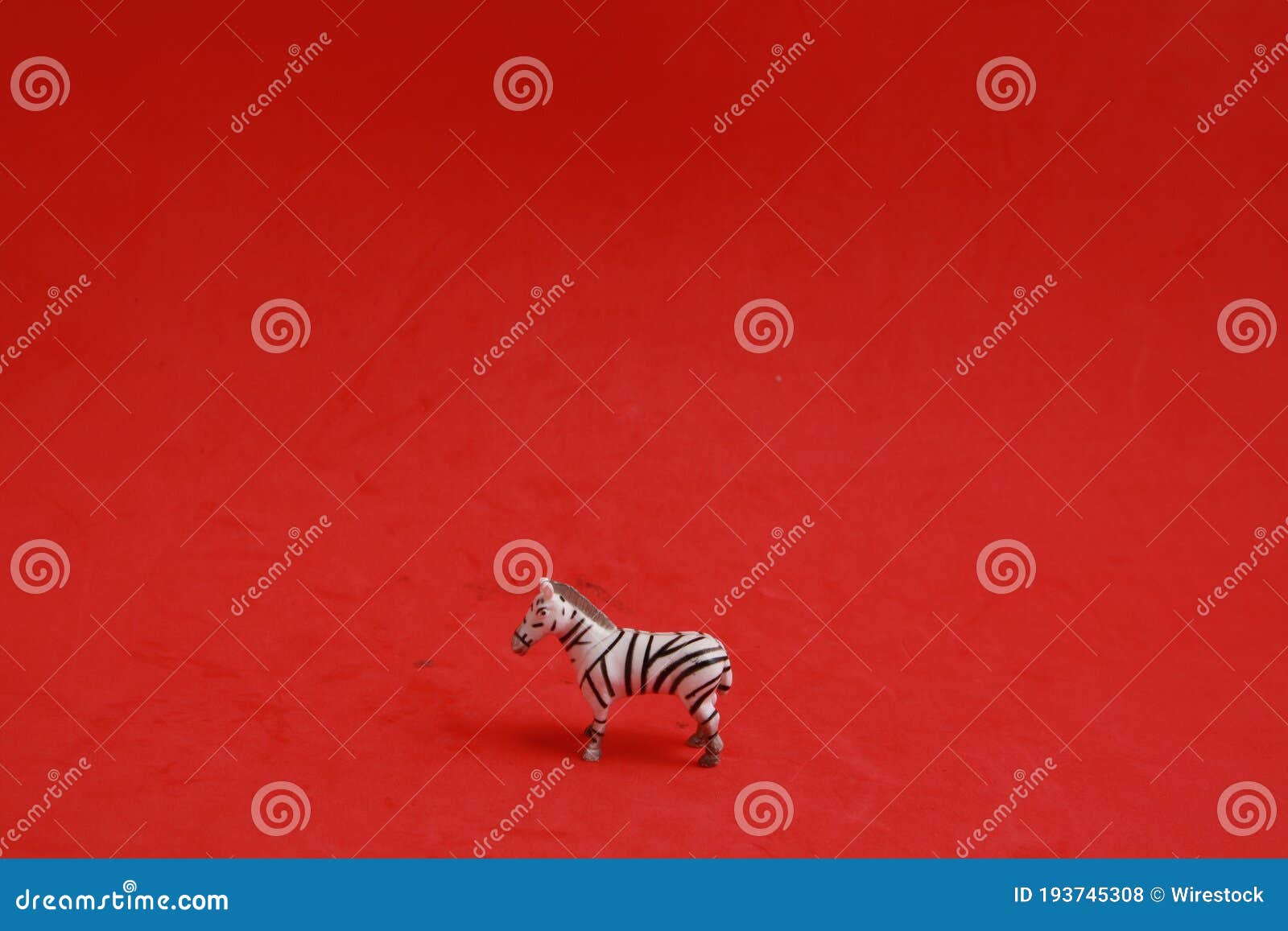 Small Rubber Zebra Toy Isolated on a Red Background Stock Photo - Image ...