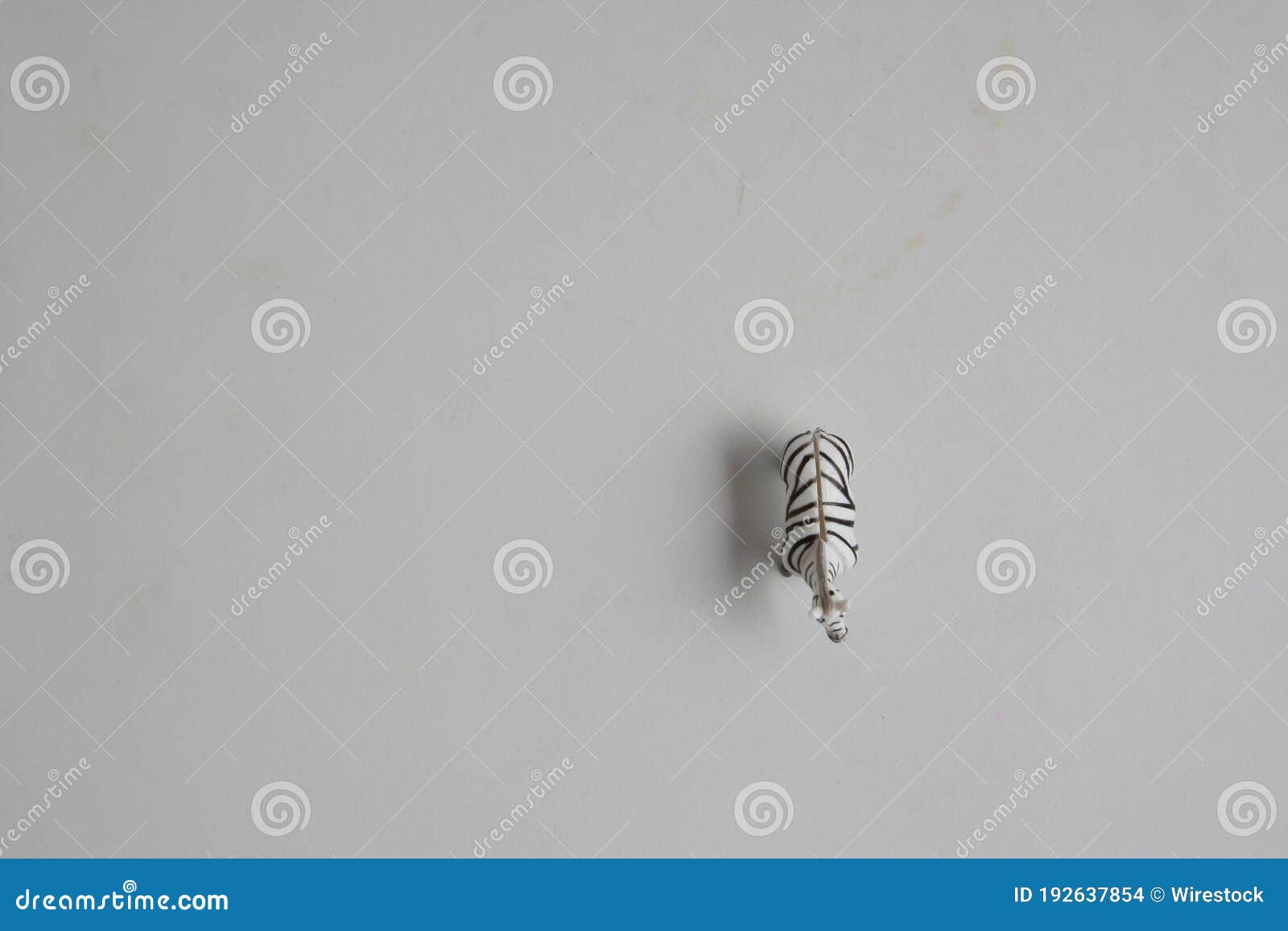 Small Rubber Zebra Toy Isolated on a White Background Stock Photo ...