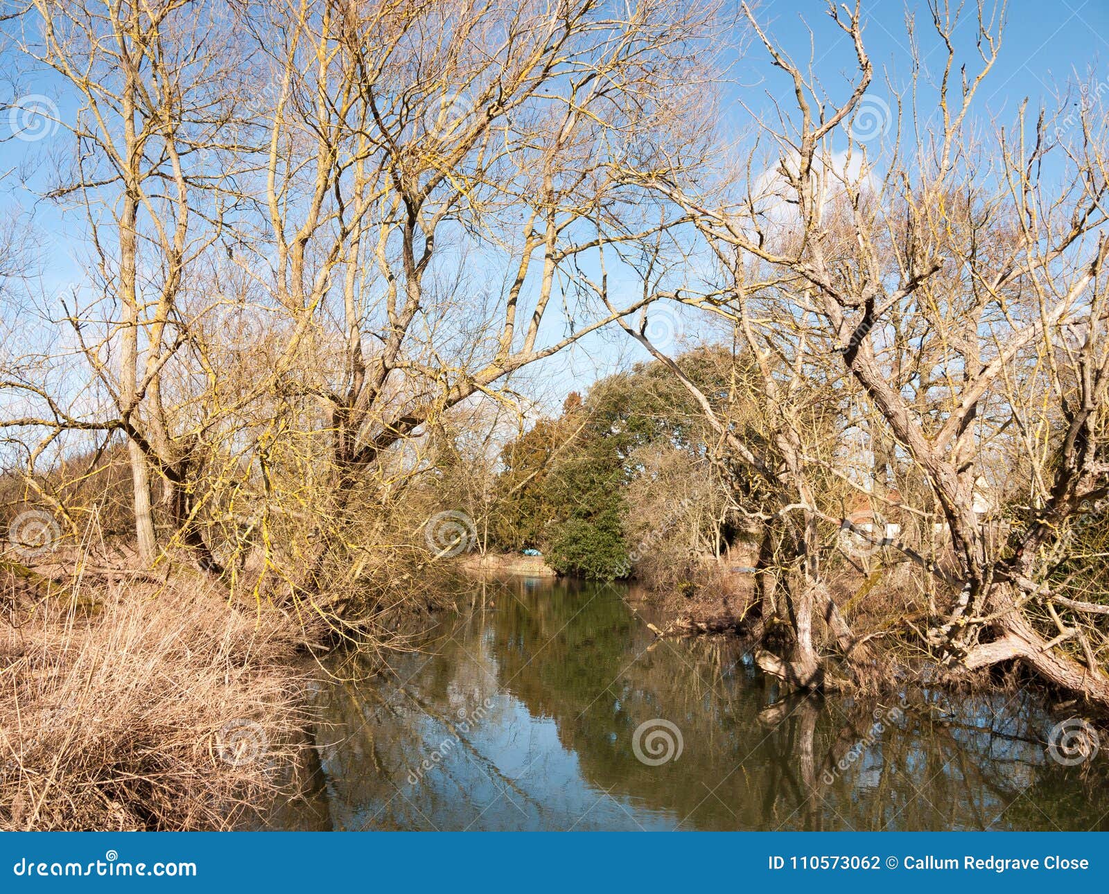 Small Running Stream River through Countryside Spring Bare Trees ...
