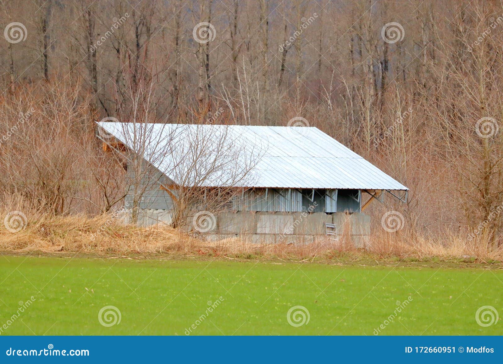 Small Rural Building in Woods Stock Image - Image of small, storage ...