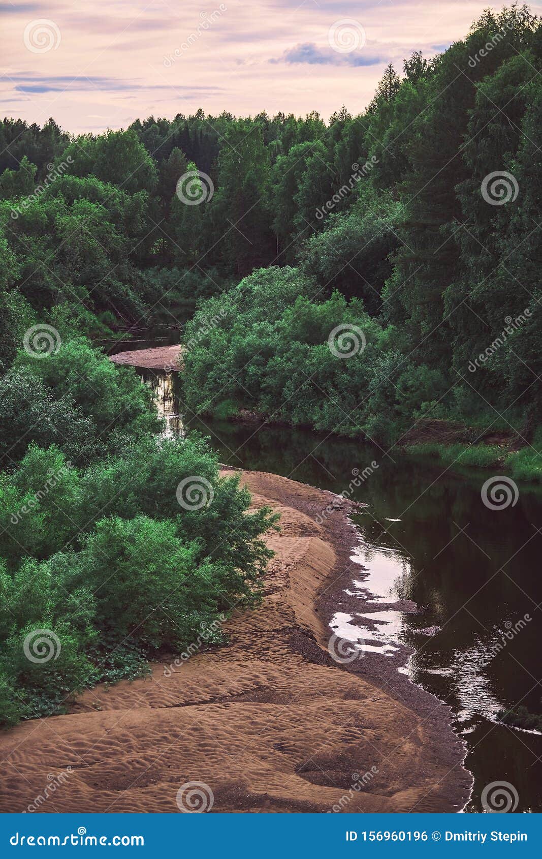 Small Rural River Dried Out in the Green Forest Stock Photo - Image of ...