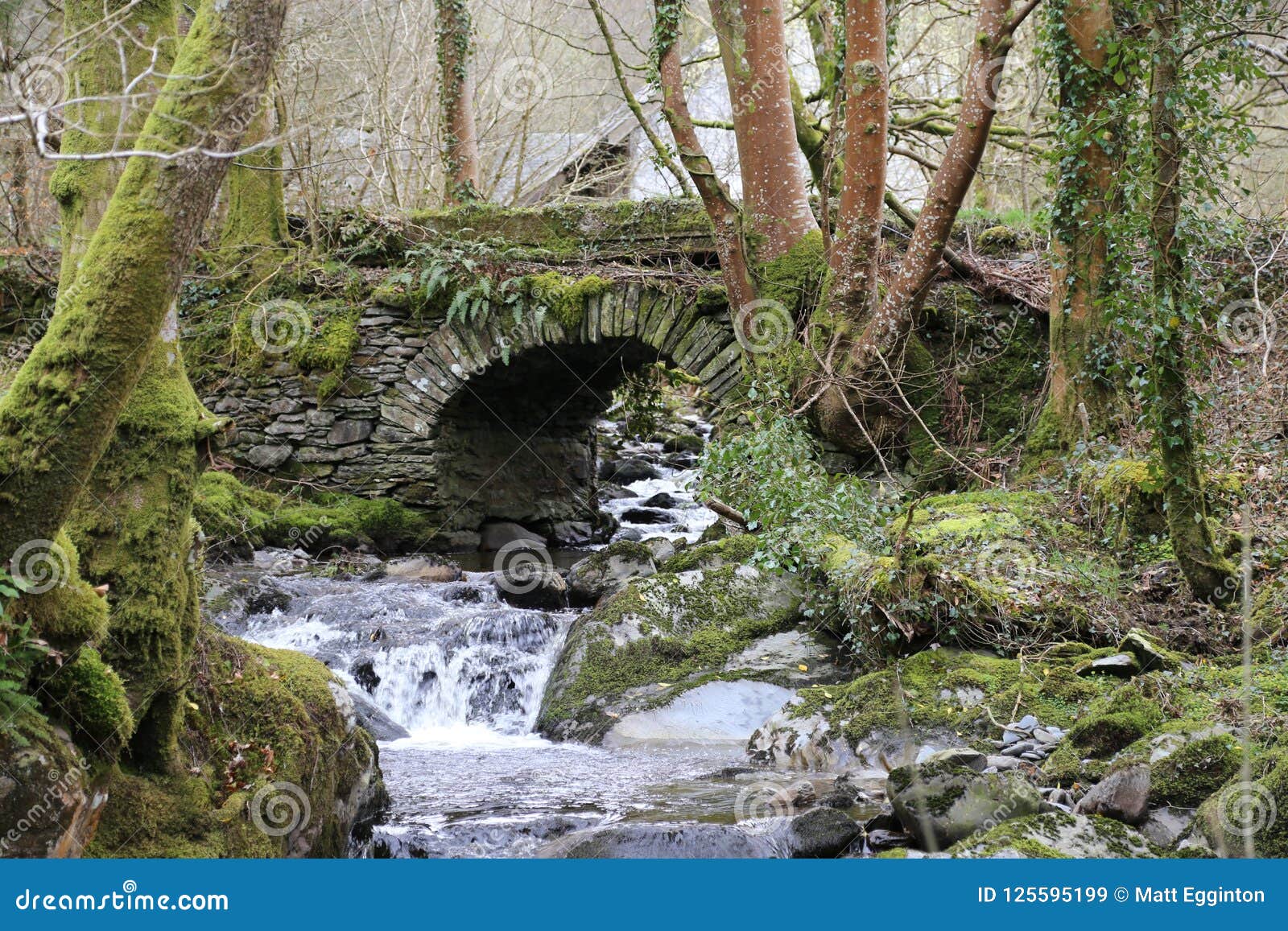 Small Waterfall and Bridge, Stock Image - Image of flowing, wilderness ...