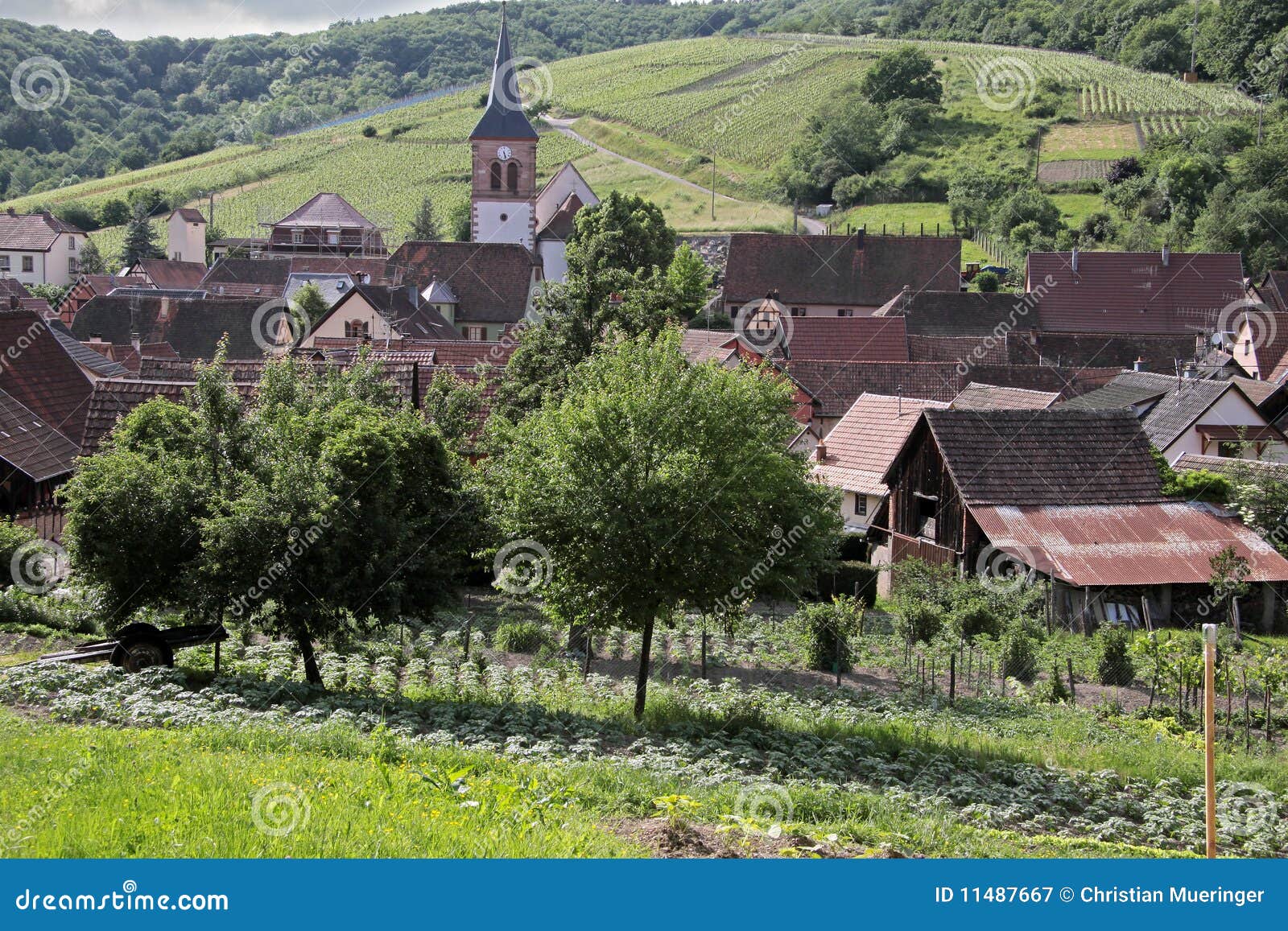 Small rural village stock image. Image of idyllic, farm - 11487667