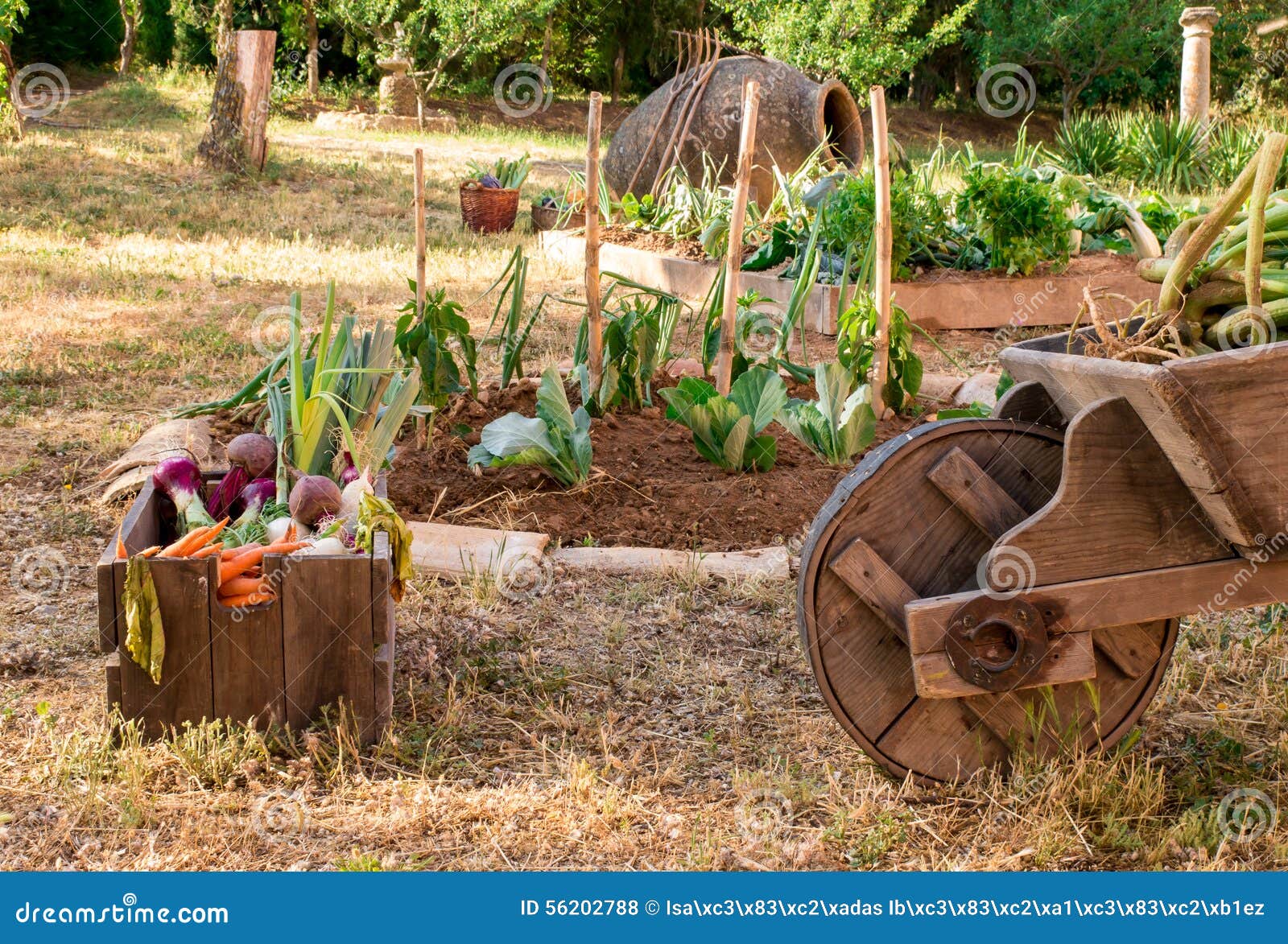 Small and Rustic Vegetable Garden Stock Photo - Image of food, farm ...