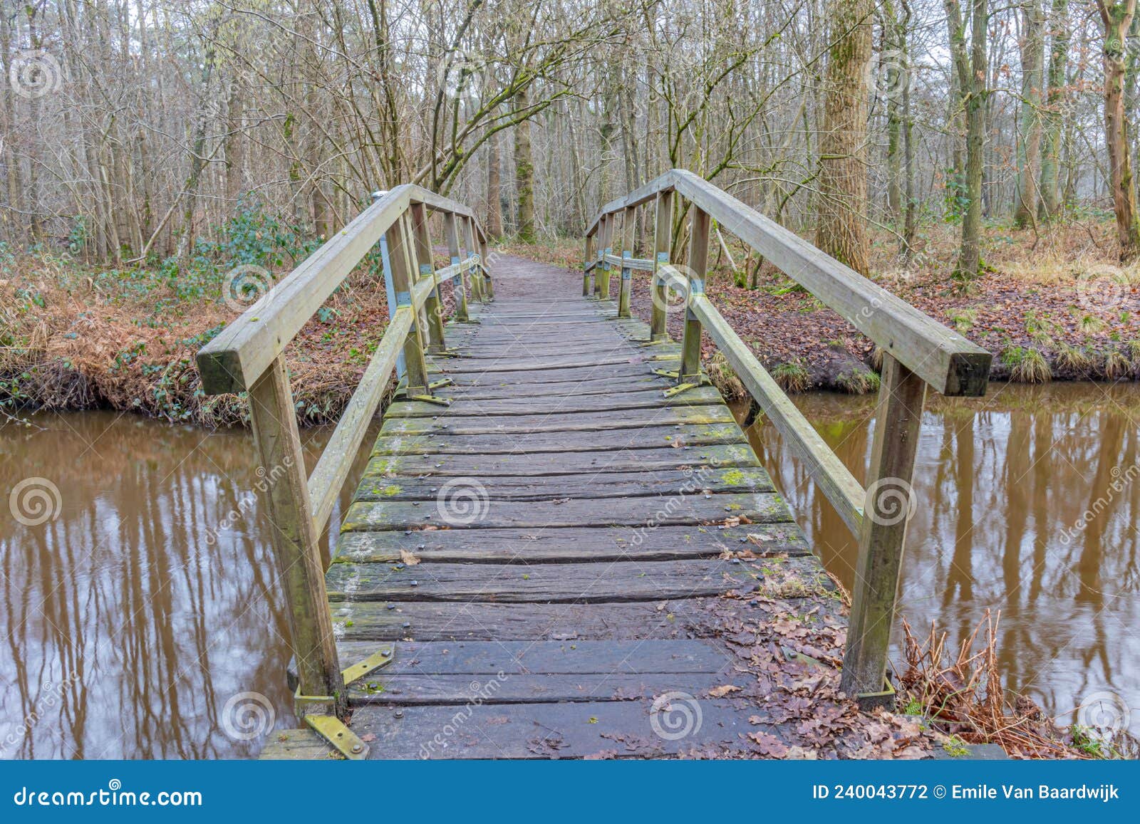 Small Rustic Wooden Pedestrian Bridge Over the Leubeek River with ...