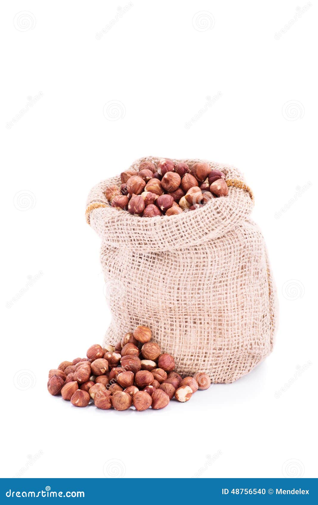 Small Sack of Fresh Hazelnuts Stock Photo - Image of healthy, fresh ...