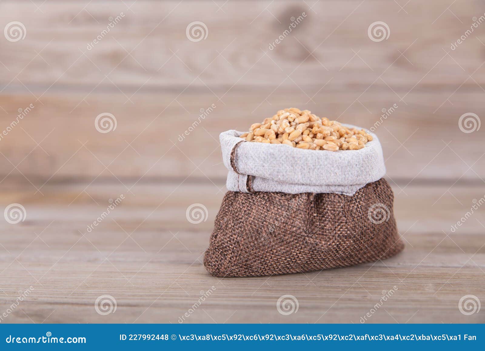 A Small Sack Full of Harvested Wheat Stock Photo - Image of full, ears ...
