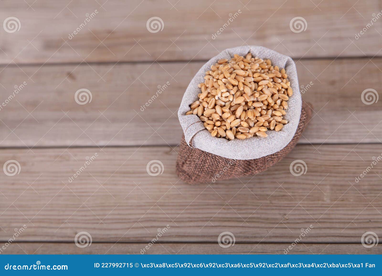 A Small Sack Full of Harvested Wheat Stock Image - Image of seeds ...