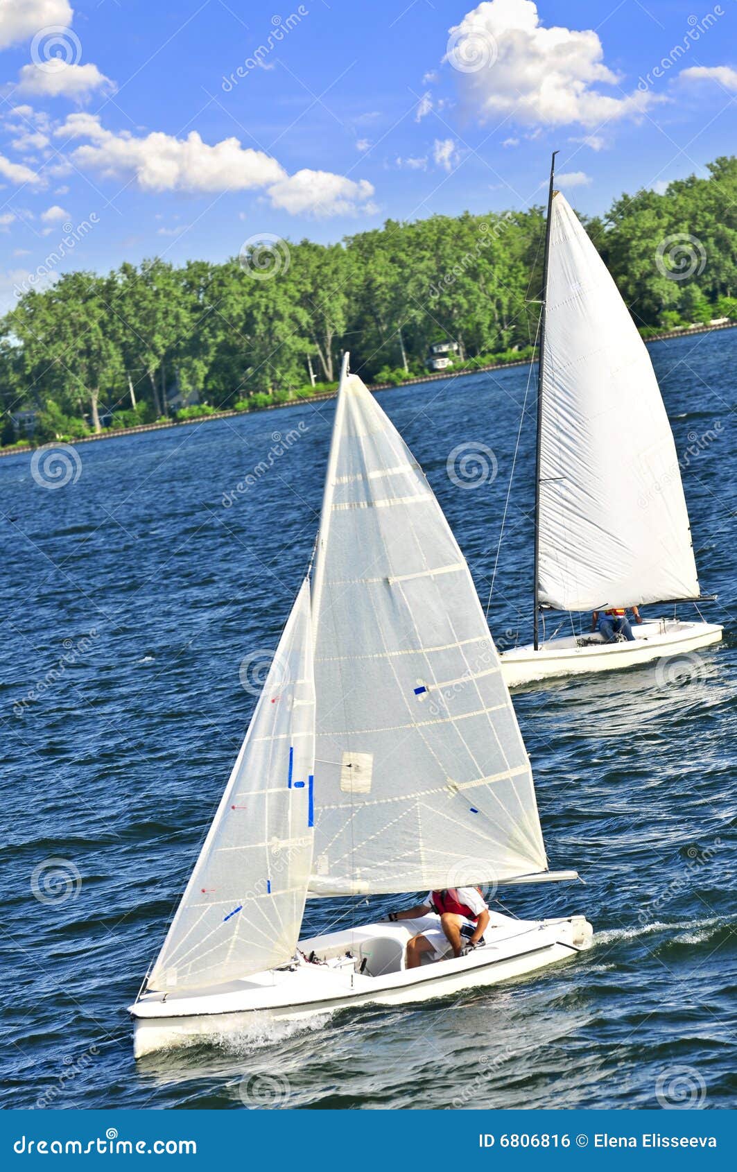 Small sailboats stock photo. Image of open, blue, lake - 6806816