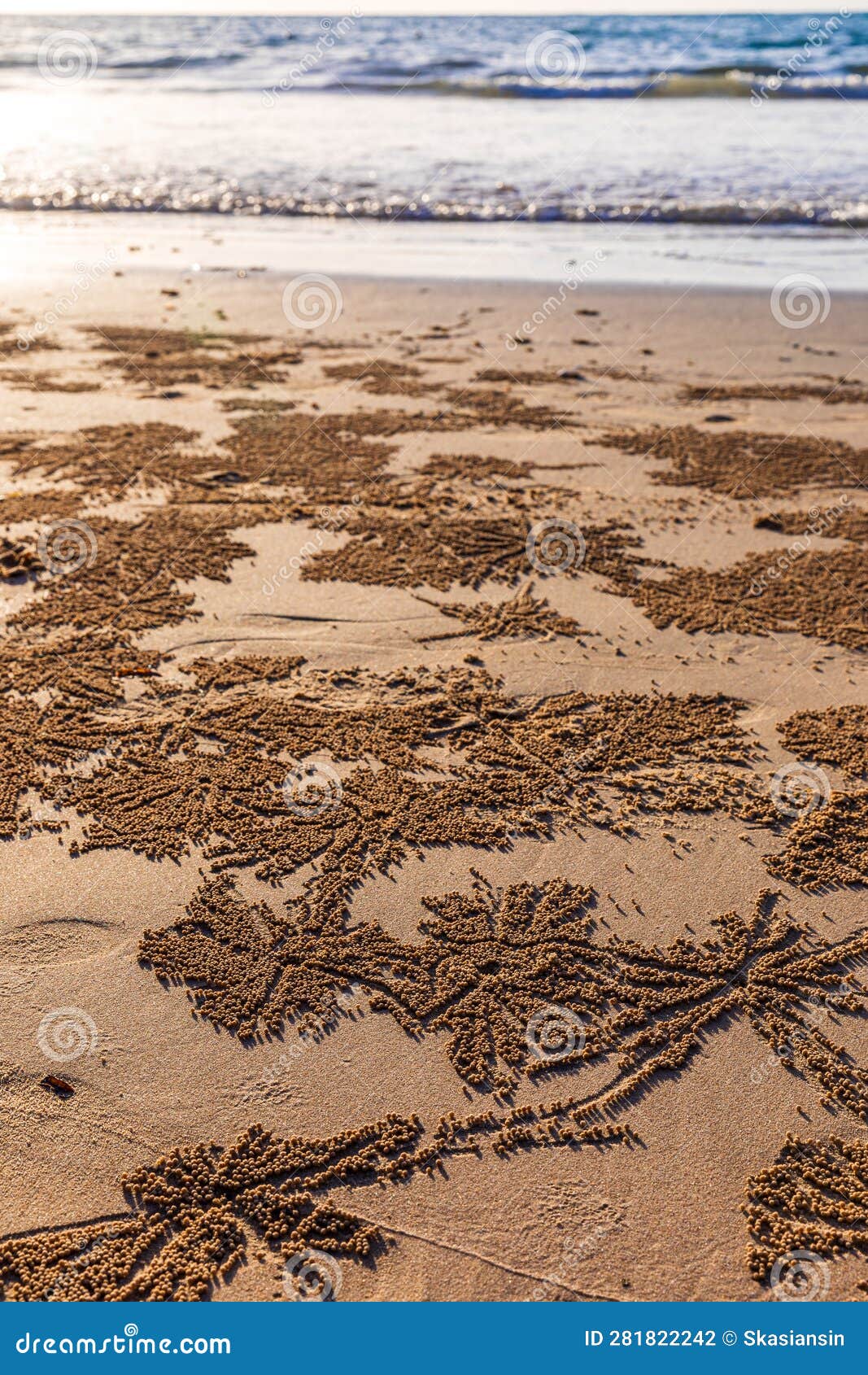 Small Sand Balls Made by Wind Crabs after Hole Digging on Beach Stock ...