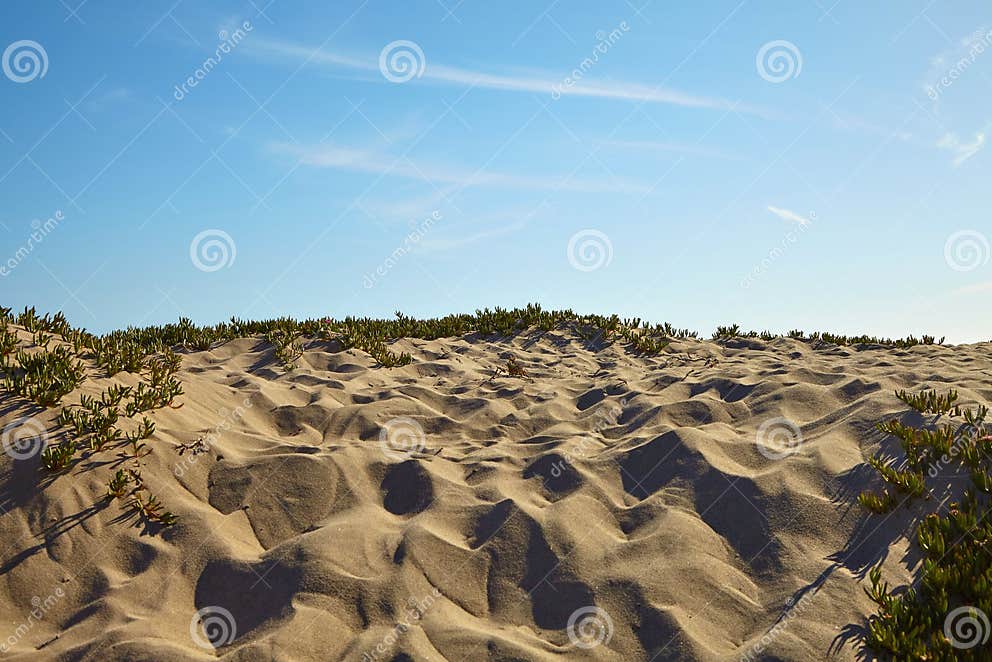 Small sand dunes on beach. stock image. Image of sunlight - 71951149