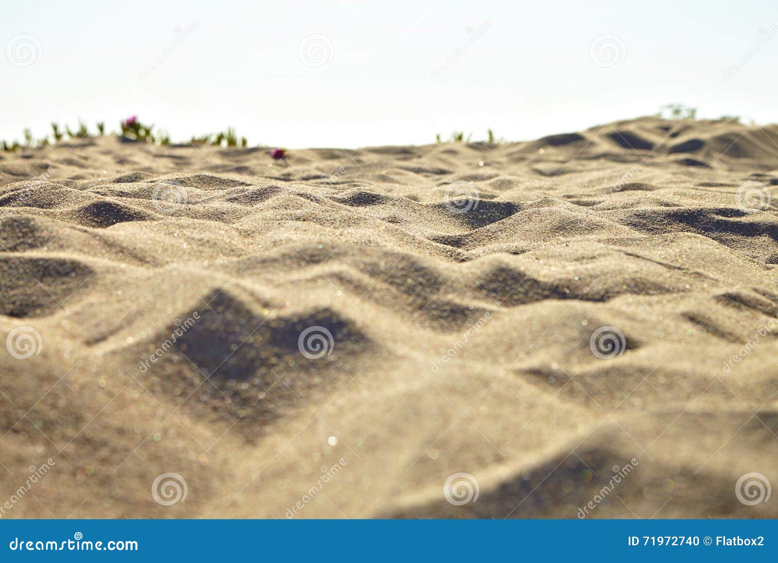 Small sand dunes on beach. stock photo. Image of summer - 71972740