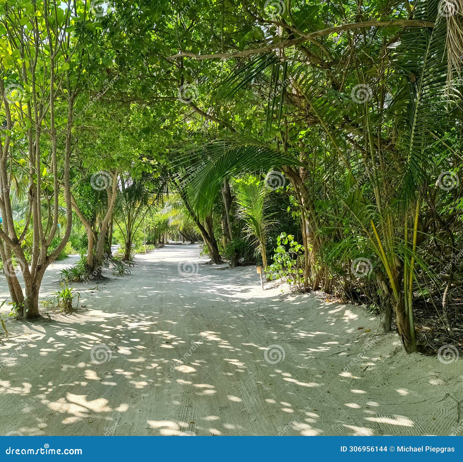 A Small Sand Path with Palm Trees in the Beautiful Maldives Stock Photo ...