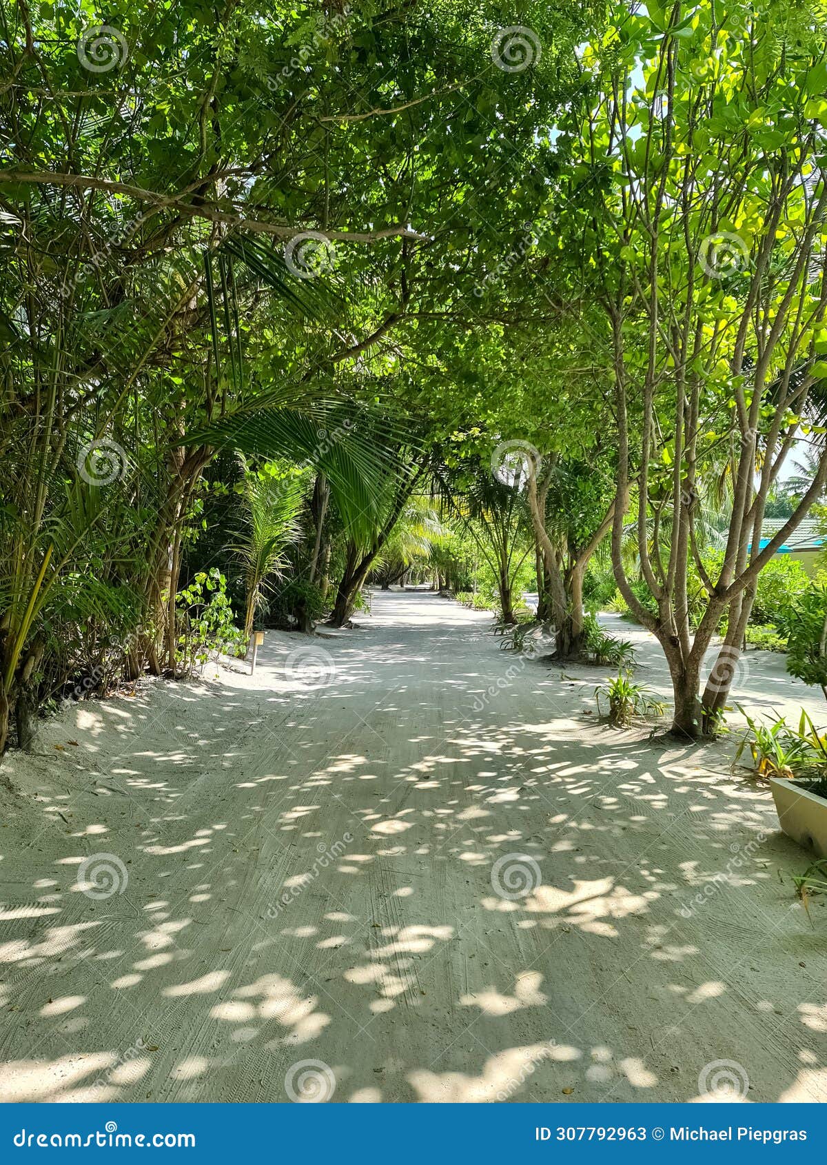 A Small Sand Path with Palm Trees in the Beautiful Maldives Stock Image ...