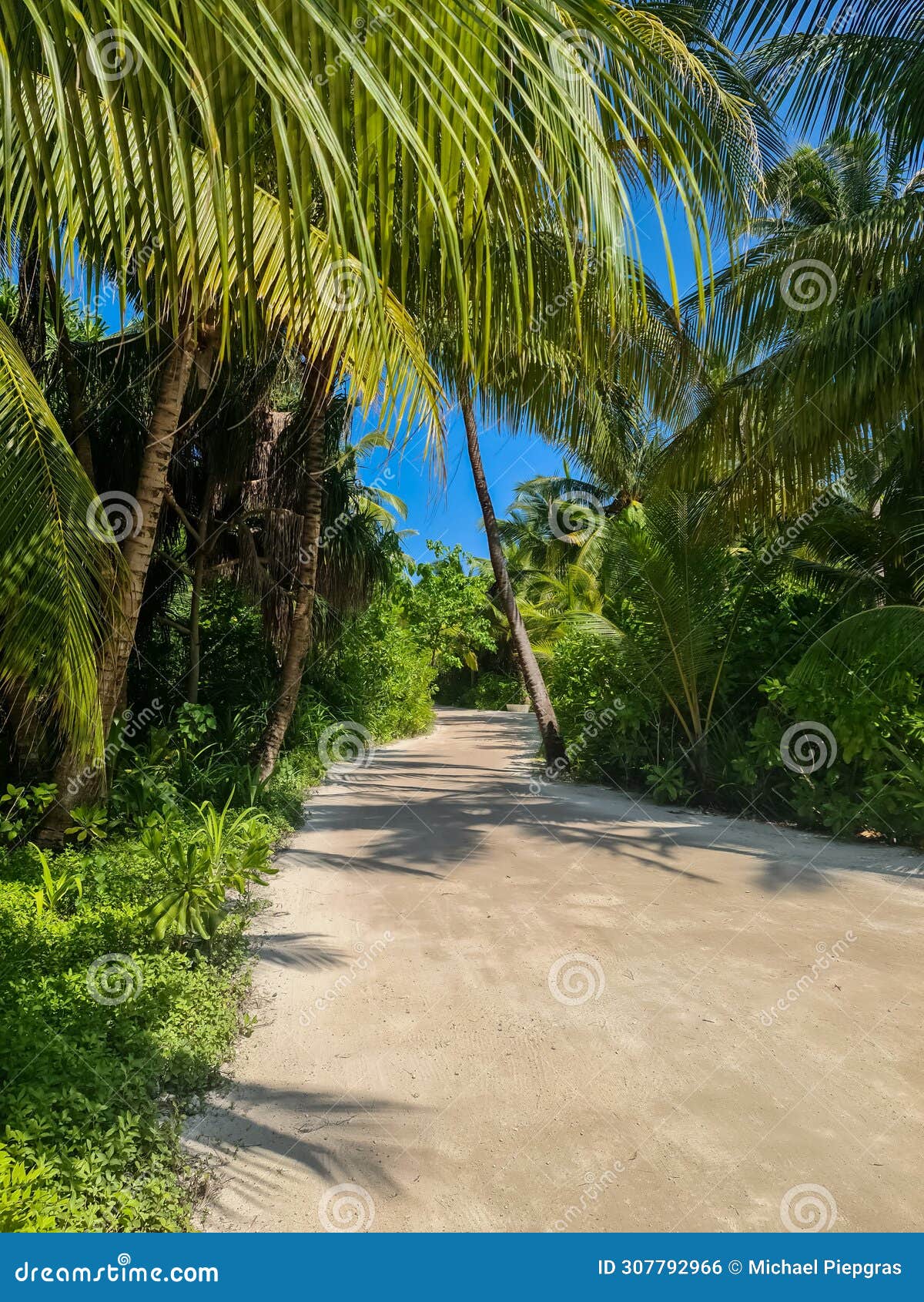 A Small Sand Path with Palm Trees in the Beautiful Maldives Stock Photo ...