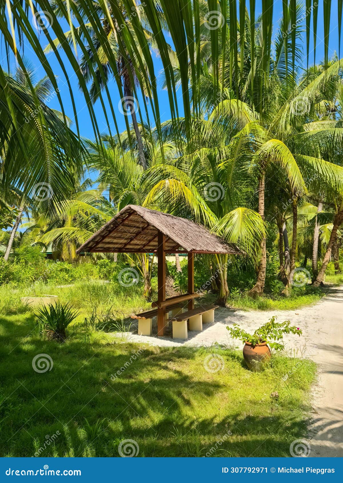 A Small Sand Path with Palm Trees in the Beautiful Maldives Stock Image ...