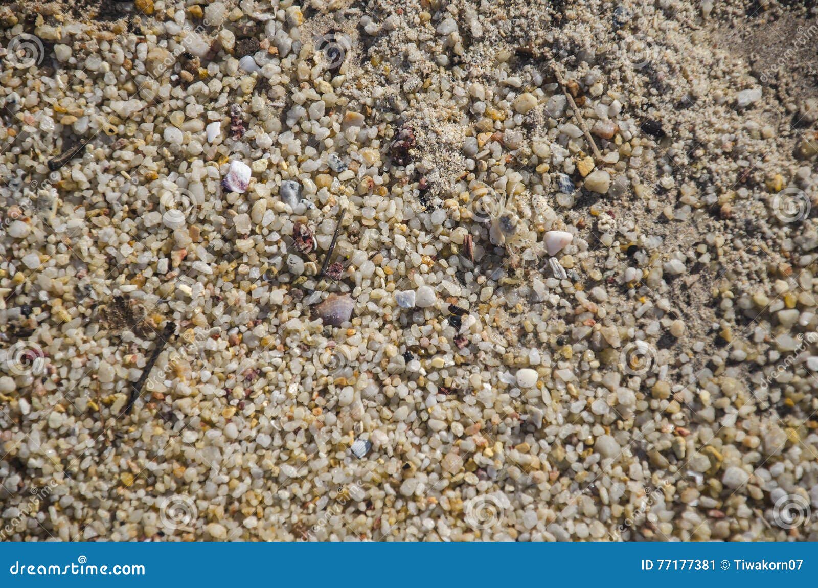 Small Sand Stone of Sand Wall Texture or Sand Wall Background. Stock ...