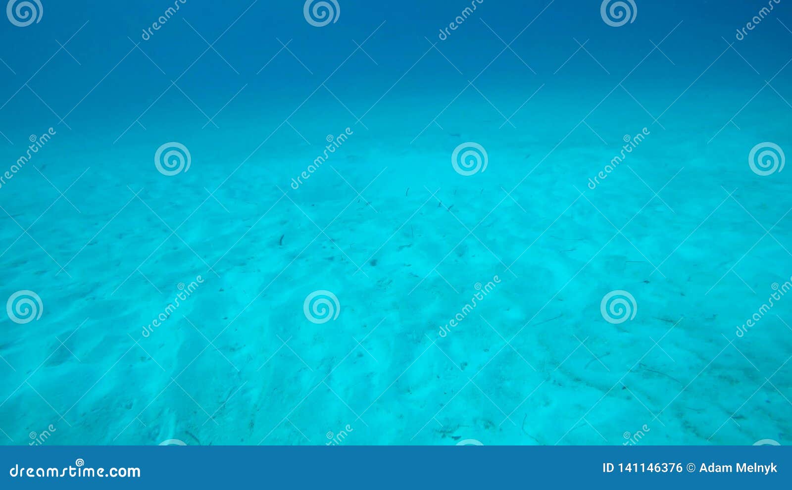 Small Sand Worms Poking Up from the Ocean Floor. Stock Footage - Video ...