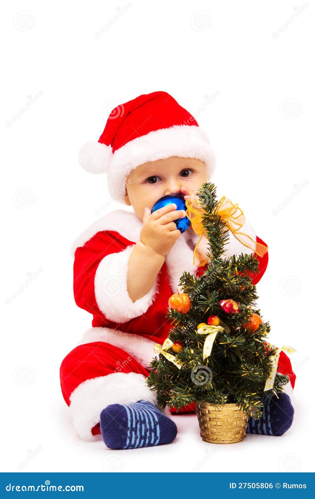 Small Santa Claus with Fir-tree it is Isolated Stock Photo - Image of ...