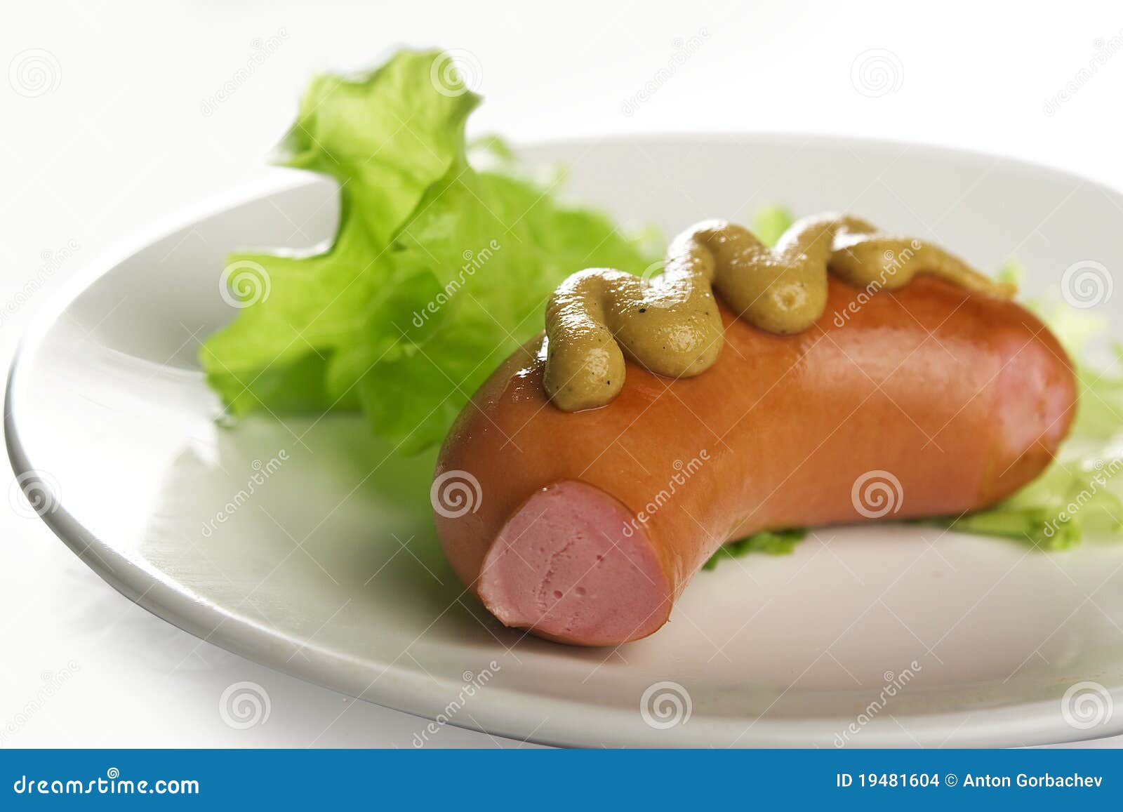 Small sausage stock photo. Image of sausage, food, lettuce - 19481604